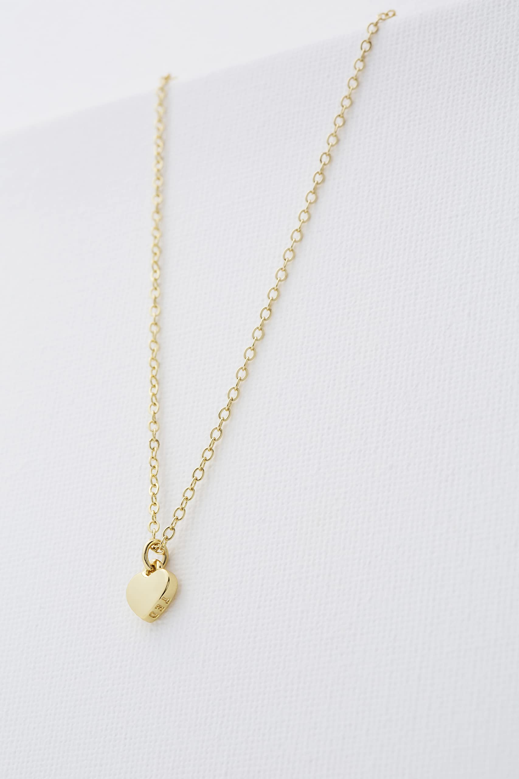 Ted Baker London Hara Tiny Heart Pendant Necklace for Women (Silver Tone)