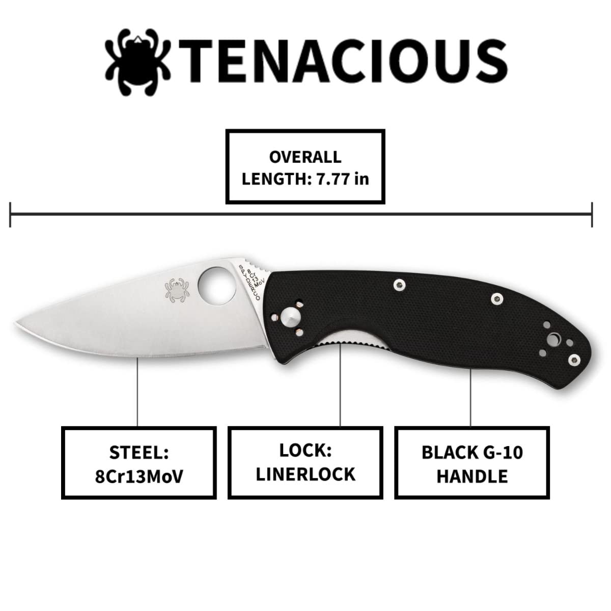 Spyderco Tenacious Folding Utility Pocket Knife with 3.39" Stainless Steel Blade and Durable Non-Slip G-10 Handle - Everyday Carry - PlainEdge - C122GP