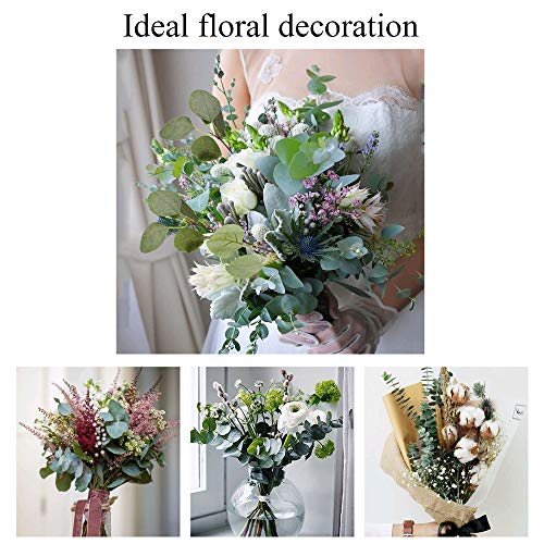 XHXSTORE 3Pcs Artificial Greenery Stems Fake Greenery Eucalyptus Leaf Artificial Silver Dollar Eucalyptus Stem Branch for Party Wedding Garden Home Office Outdoor Indoor Decor