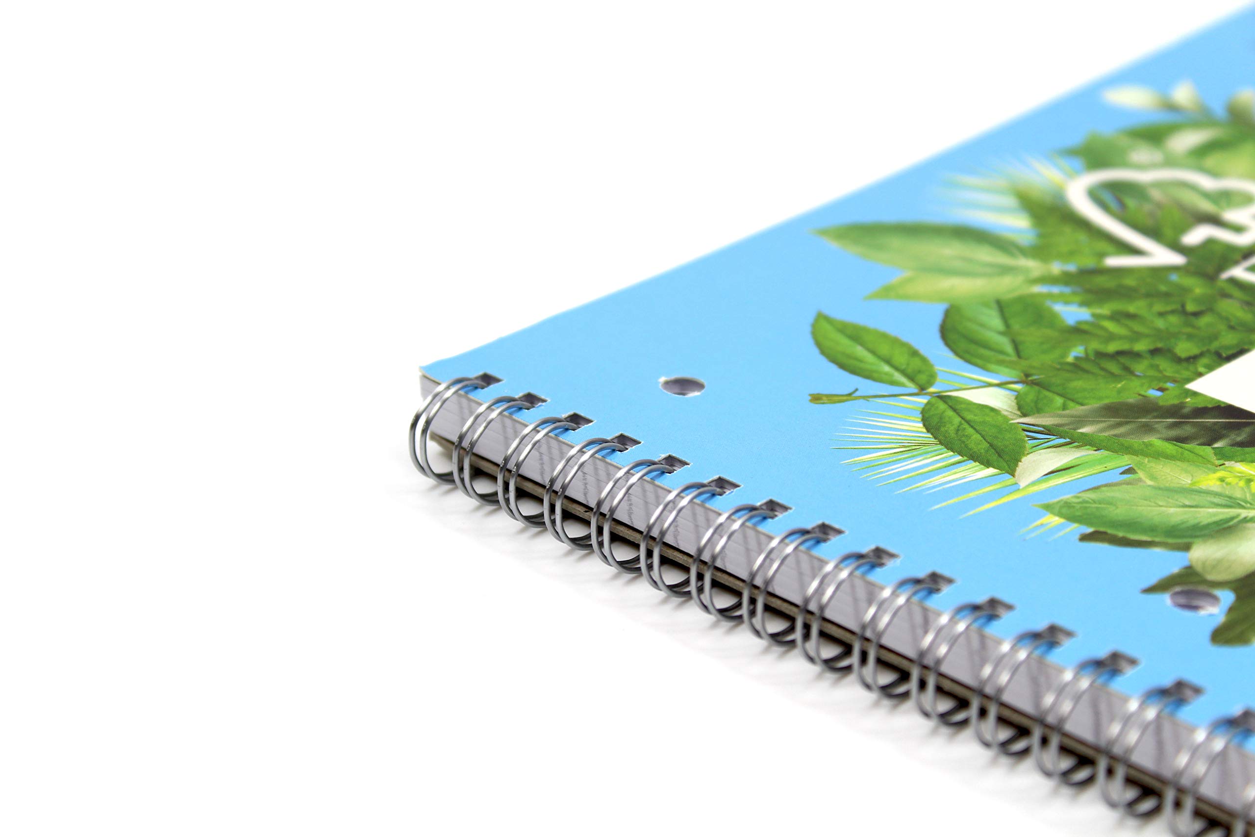 Silvine A4+ Premium FSC Wirebound Notebook - Lined with Margin, 160 Pages of FSC Certified Paper. Ref R202 [Pack of 5]