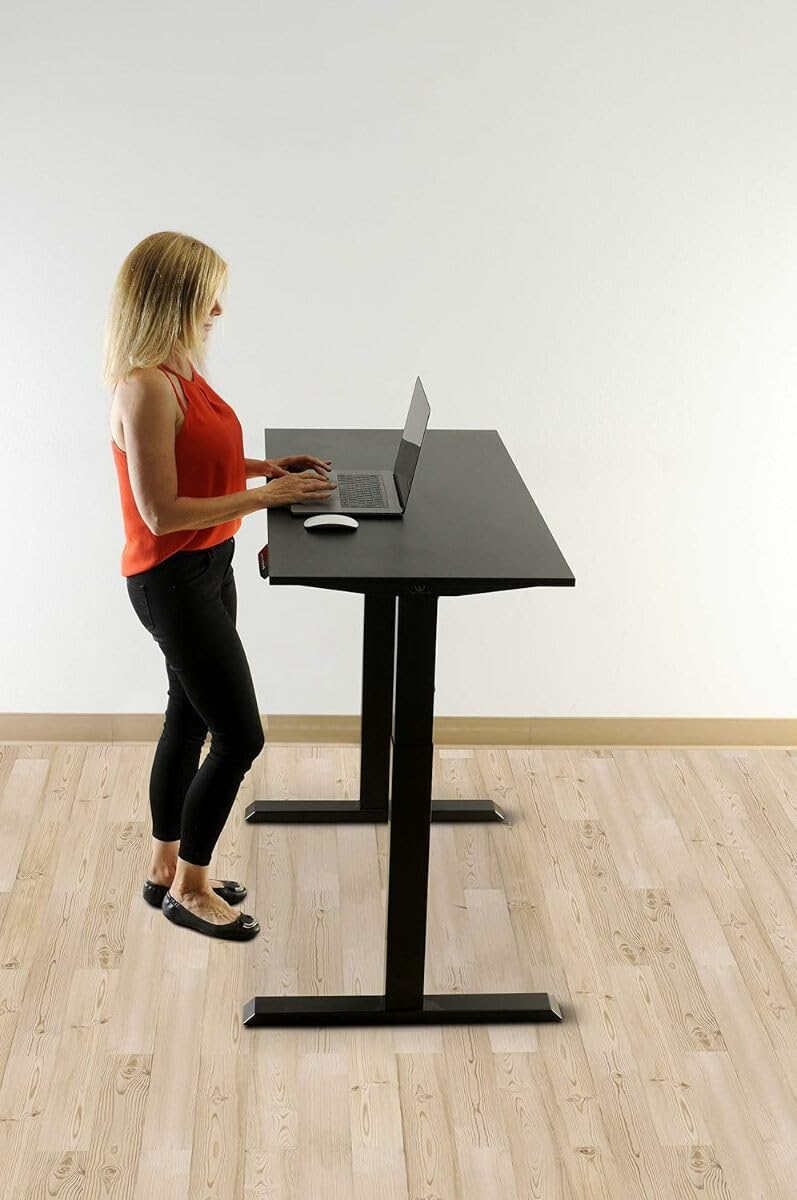 TechOrbits Electric Standing Desk Tabletop - 47 Inch Motorized Workstation Two Leg Frame Stand Up Desk with Memory Settings and Telescopic Sit-Stand Height Adjustment Black