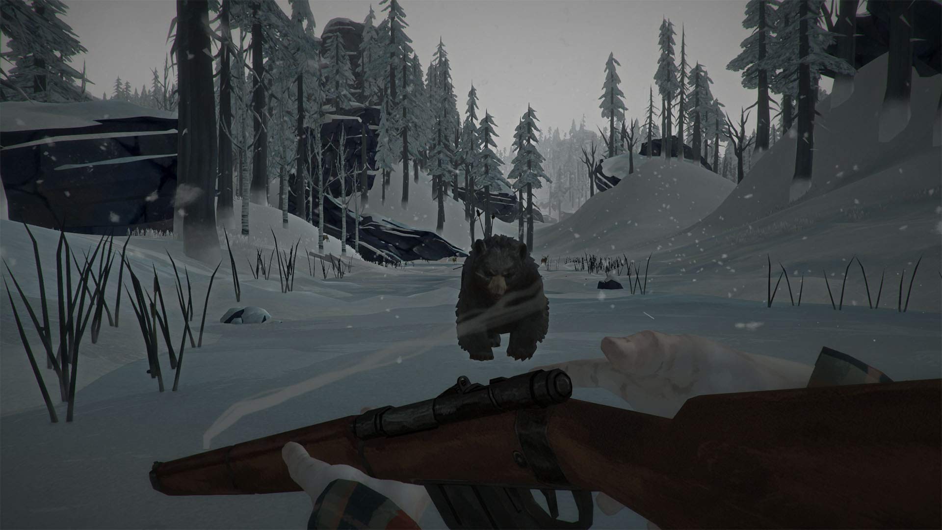 The Long Dark (PS4)