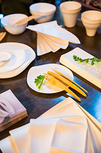 WASARA DM-015R Platters, White, 9.6 inches (24.6 cm), 6 Pieces