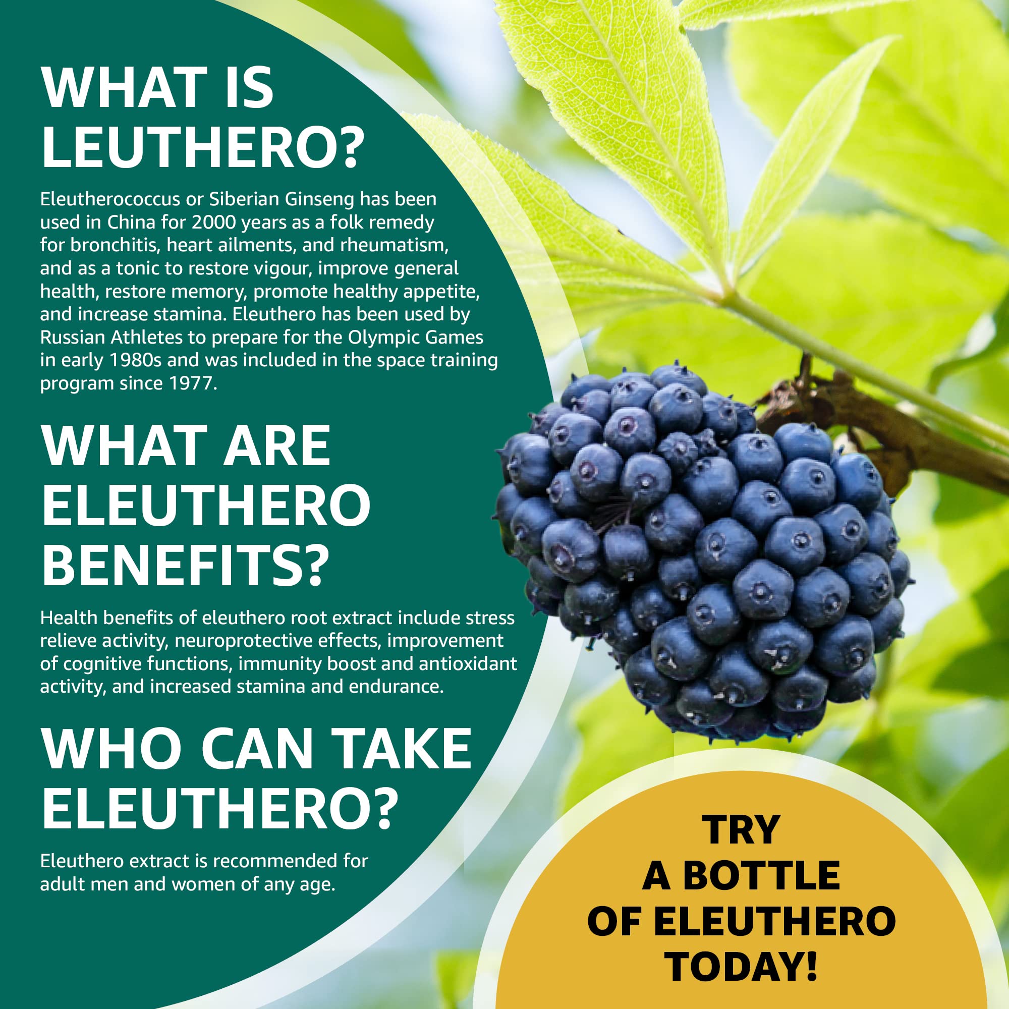 TAIGASEA Wild Eleuthero Root Extract, Herbal Extract Blend with Eleutherococcus for Immunity and Physical Shape, Stamina and Endurance, 100 Vegeterian Capsules