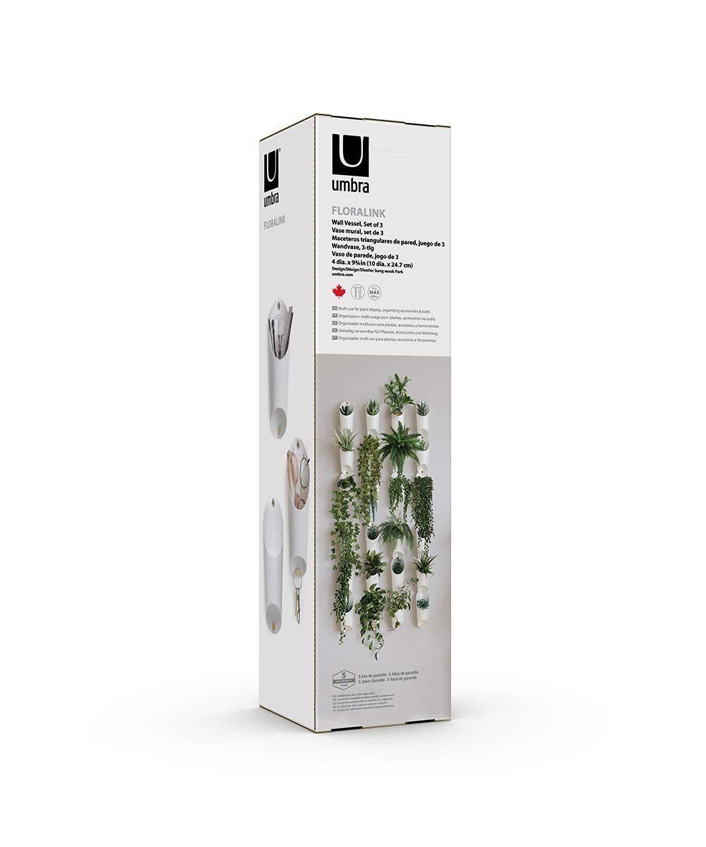 Umbra Floralink, Linking Vessel Air, Hang on Your Wall or from The Ceiling, as Indoor Planters or for Organizing Beauty Tools, Accessories and More, Brass Hardware and White Finish