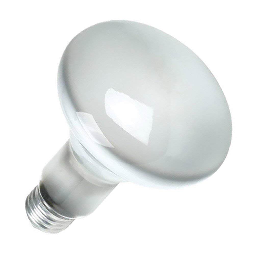Sylvania Lighting BR30 65w 120-volt Indoor Flood Bulb (12 Pack)