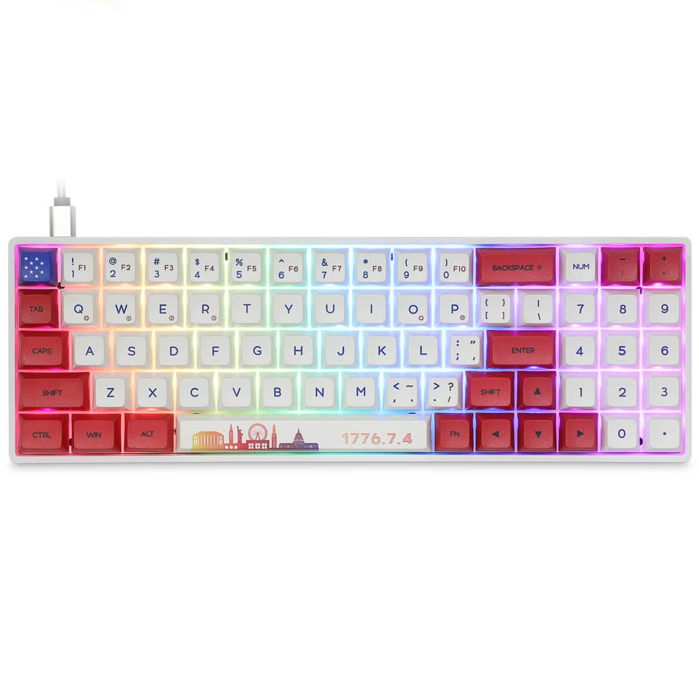 SKYLOONG GK71 71 Keys Mechanical Gaming Keyboard Dye Sublimation PBT Doubleshot Keycaps RGB Backlight Hot Swappable Wired Mechanical Keyboard (Blue Switch)