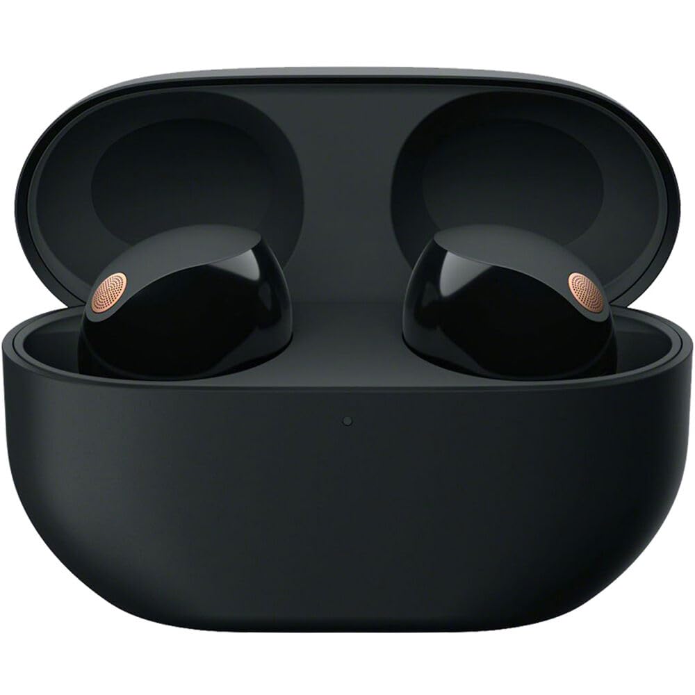 Sony WF-1000XM5 Industry Leading Noise Canceling Truly Wireless Earbuds (Black) Bundle with Silicone Case (Black), Memory Foam Ear Tips, USB-A to USB-C Cable & 1 YR CPS Enhanced Protection Pack