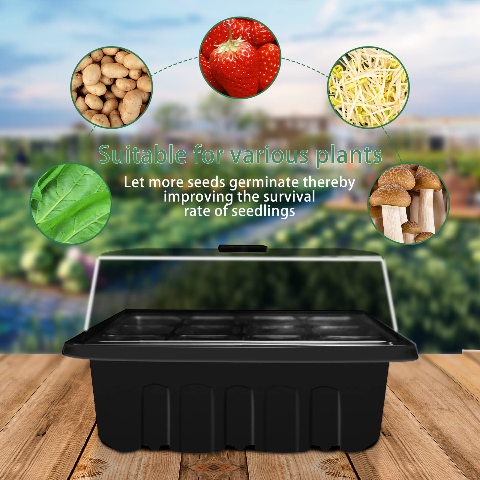 QMCAHCE 5Pack Seed Starter Tray With Grow Light, Greenhouse Mini Plant Seeding Kit 60 Cells Total, Indoor Seed Starter Kit with Adjustable Humidity Dome, Gardening Plant Germination Light Trays(Black)