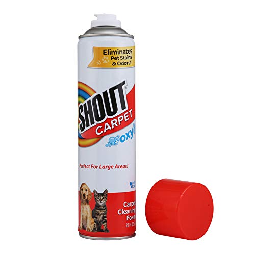Shout Aerosol Odor Foaming Spray with OXY Power | Completely Removes Tough Urine Stains & Prevents Remarking | for Large Areas Carpet Cleaner, 22 oz - 2 Pack, red, 44 Fl Oz