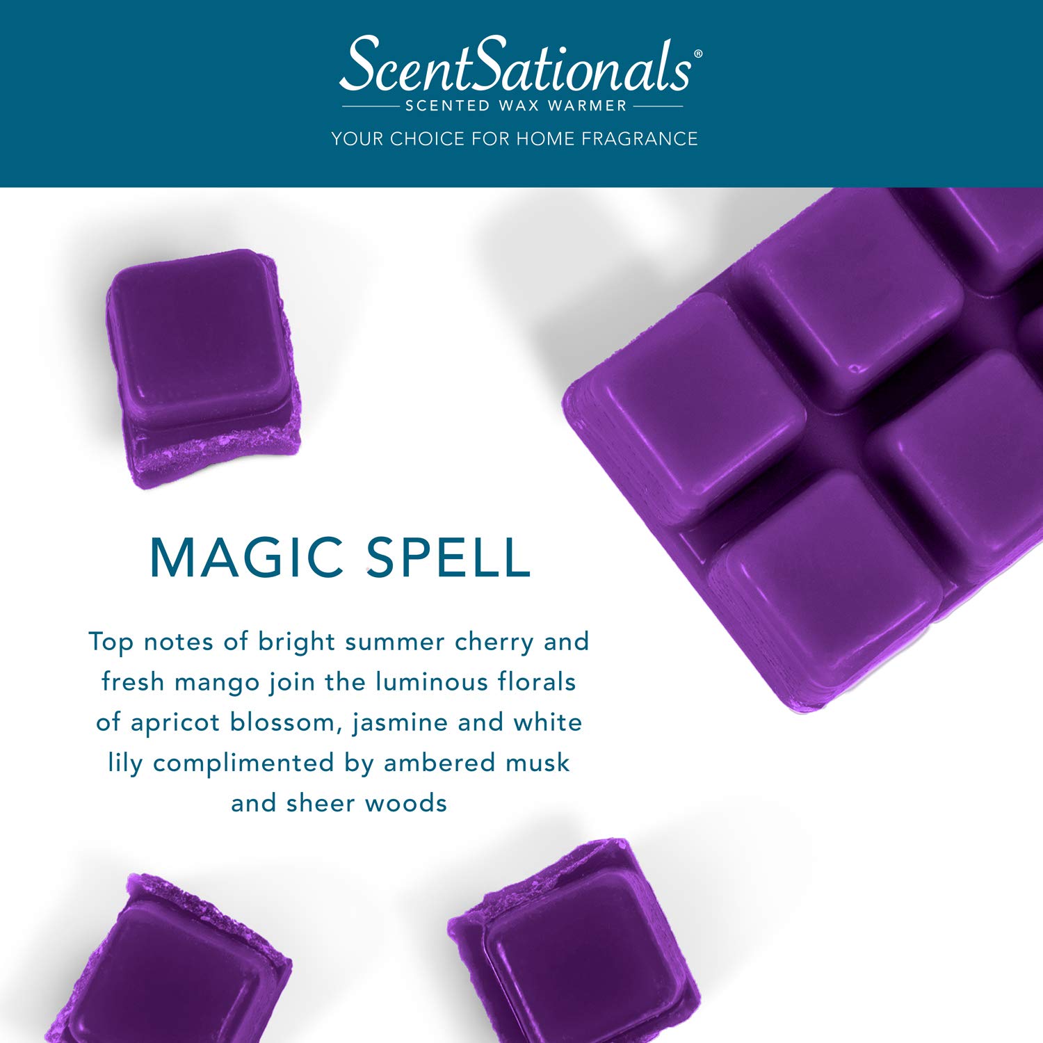 Scentsationals 001-40368-4PK Magic Spell 2.5 oz Scented Fragrant Wax Melts-4 Pack, Purple
