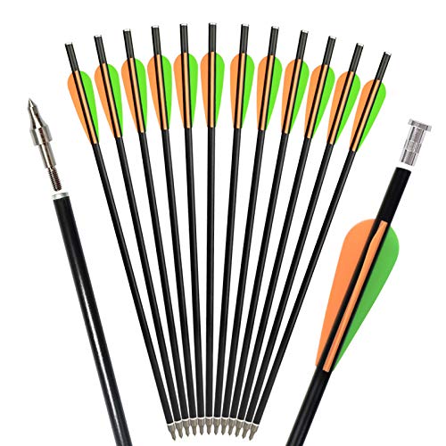 SHENG-RUI ARCHERY Crossbow Bolts Fiberglass Arrows with Flat Nock Replaced Arrowheads for Outdoor Hunting 14 inch (Pack of 12)