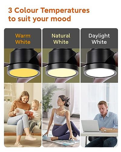 TALOYA Small Ceiling Fans with Lights, Black 22Inch Remote Control Mini Ceiling Fans with Quiet DC Motor Flush Mount 3 Colour Temperature for Bedroom, Patio,Kitchen
