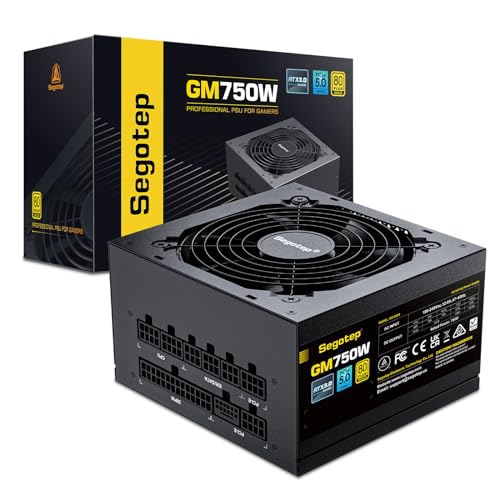 Segotep 600W Gaming Power Supply 80 Plus Gold Certified PSU with Silent 120mm Fan