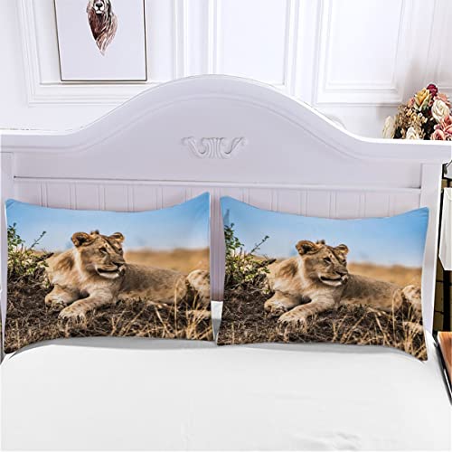 Quilt Cover Twin Size Lion 3D Bedding Sets Animal Duvet Cover Breathable Hypoallergenic Stain Wrinkle Resistant Microfiber with Zipper Closure,beding Set with 2 Pillowcase