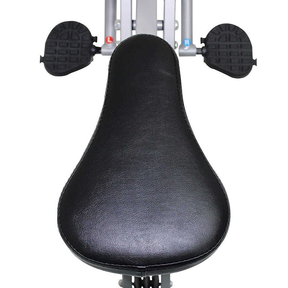 Sunny Health and Fitness Upright Squat Assist Row-N-Ride Trainer for Squat Exercise and Glutes Workout with Workout Cooling Towel