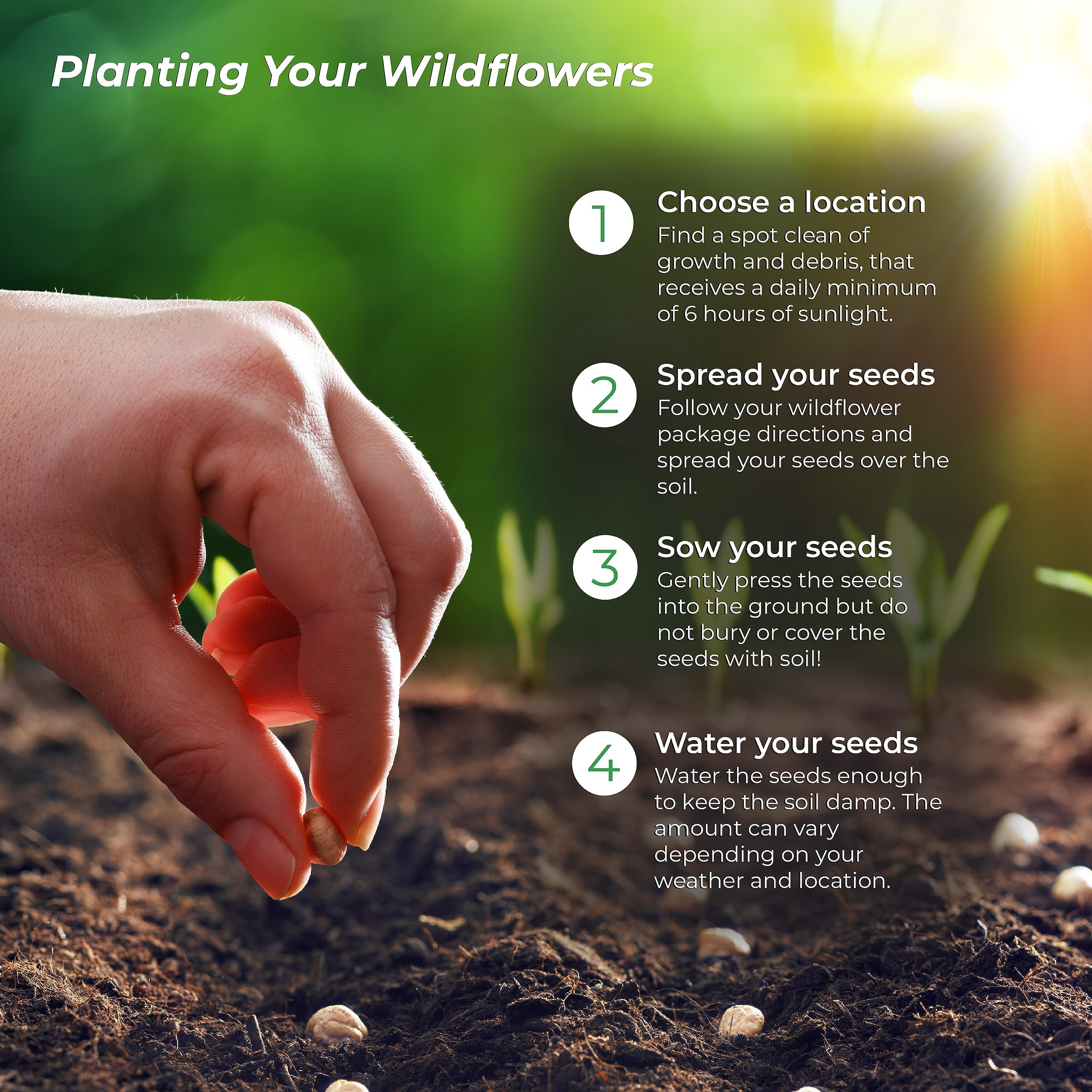 West Virginia Wildflower Seed Mix, Covers 325 Sq Ft, 18 flower varieties, Over 35,000 seeds, Created By Nature