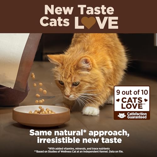 Wellness CORE Digestive Health Wholesome Grains Probiotic Coated High Protein Dry Cat Food, Chicken & Rice Dry Cat Food, 11 Pound Bag