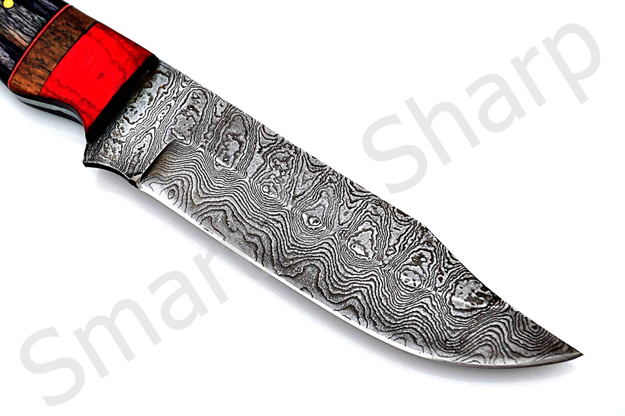 Smart & Sharp Custom Handmade Damascus Steel Hunting Knife/Skinning Knife AA-17284 (Black Wood)