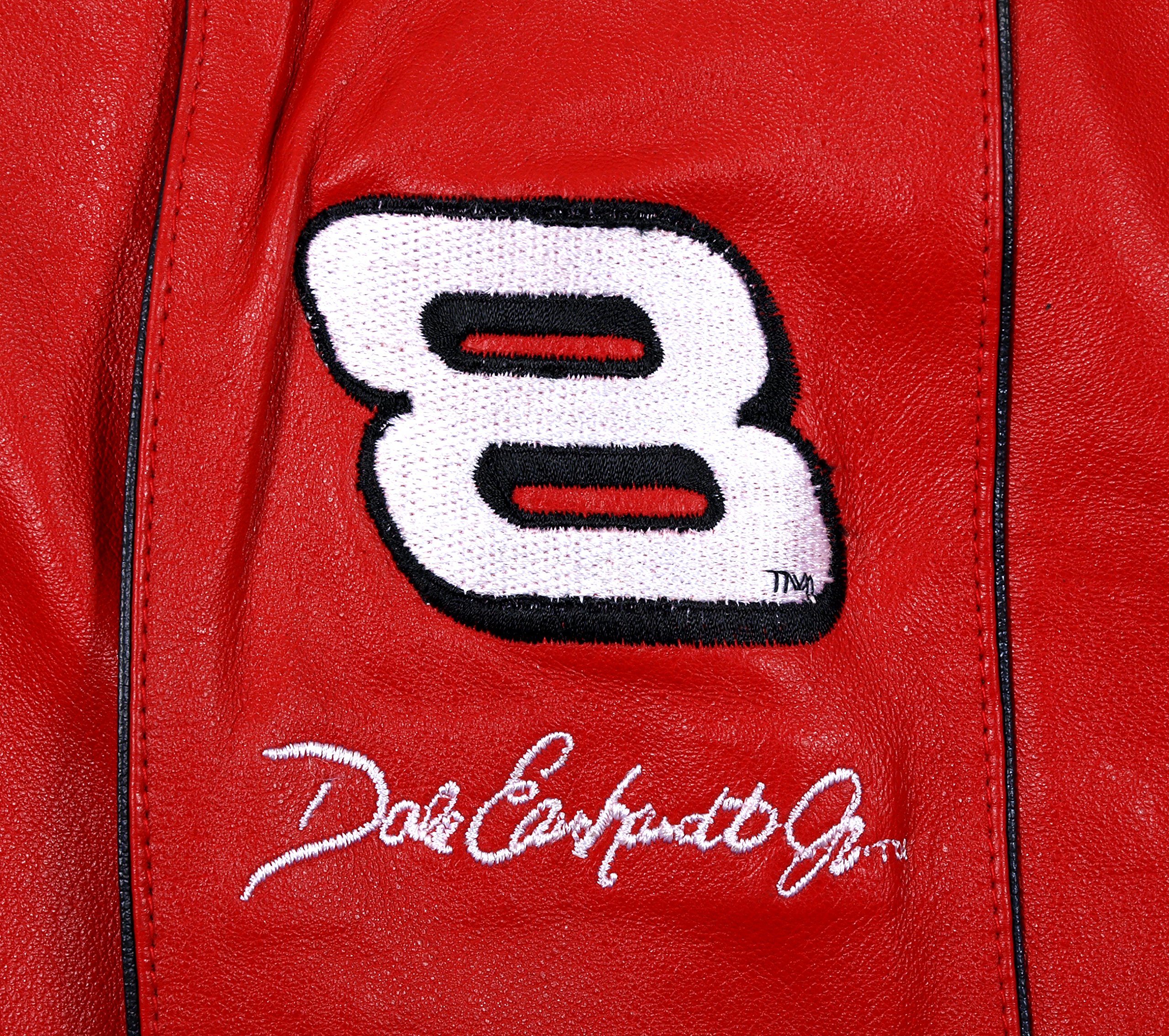 Vintage Dale Earnhardt Jr. #8 Leather Skirt a Nascar Red Mini Skirt for Women (as1, alpha, m, regular, regular)