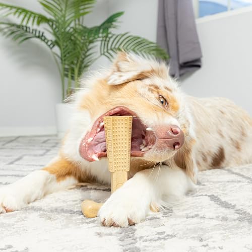 SPOT Bam-bones PLUS T Bone - Bamboo Fiber & Nylon, Durable Long Lasting Dog Chew for Aggressive Chewers – Great Toy for Adult Dogs & Teething Puppies under 60lbs, Non-Splintering, 6in, Chicken Flavor