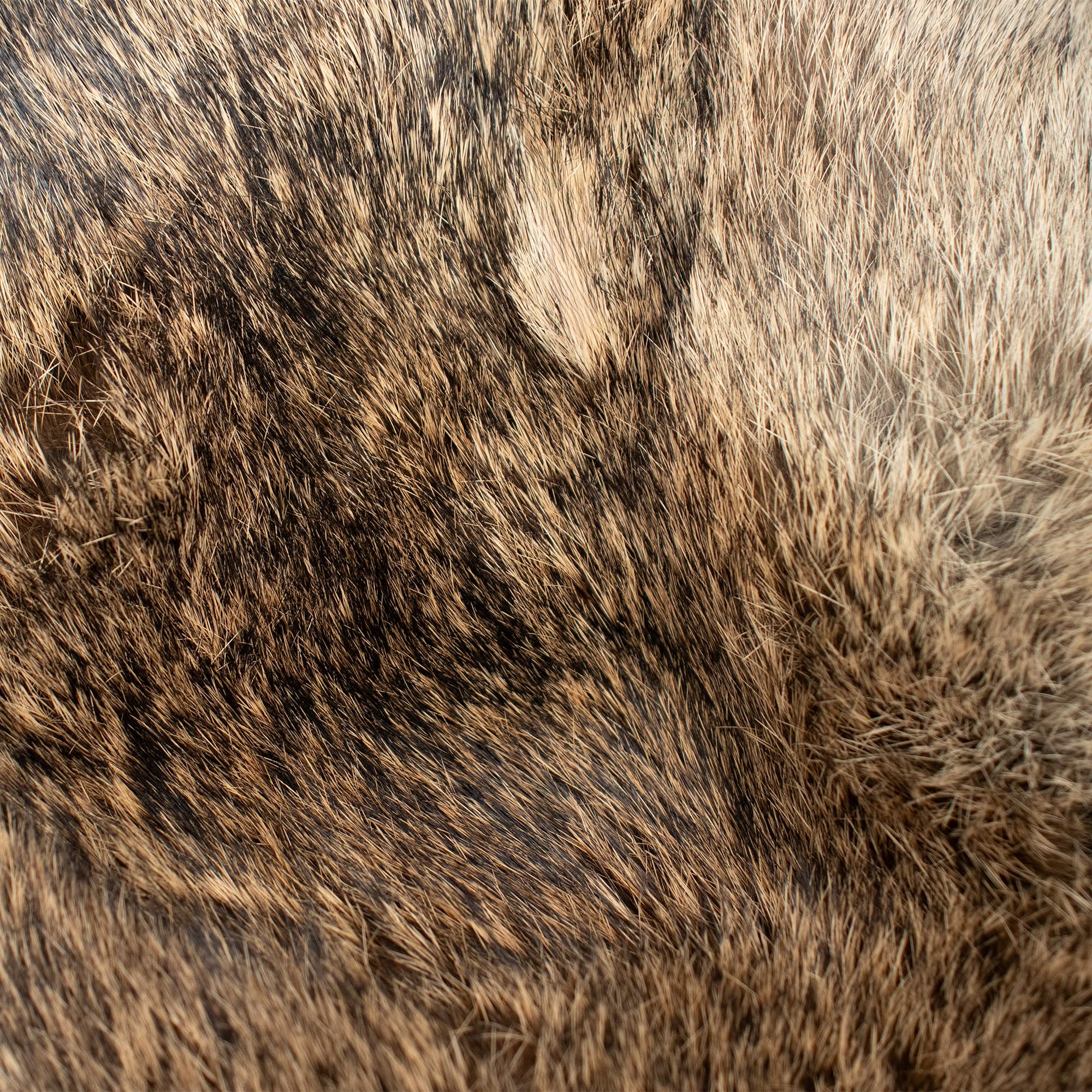 surell Coonskin Davy Crockett Hat - 100% Real Rabbit Fur Hat - Rabbit Fur Crown - Raccoon Tail Hat - Genuine Fur Crown - Unisex Winter Hat for Cold Weather - Brown