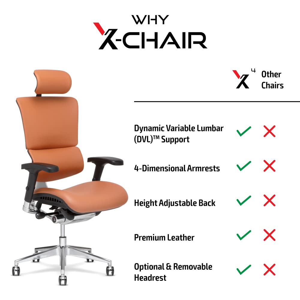 X-Chair X4 High End Executive Chair, Black Brisa with Headrest - Ergonomic Office Seat/Dynamic Variable Lumbar Support/Floating Recline/Stunning Aesthetic/Adjustable/Perfect for Office or Boardroom