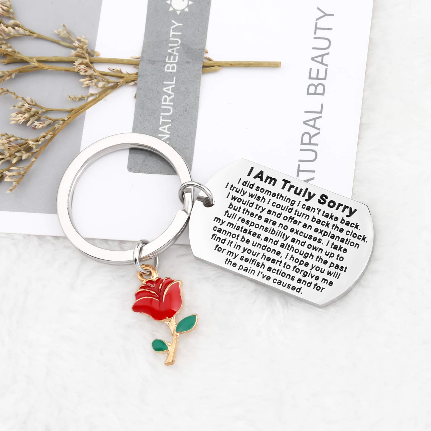 WSNANG Apology Keychain Gift Sorry Jewelry I Am Truly Sorry Gift Idea for Apologizing Forgive Me Gifts (I Am Truly Sorry DT)