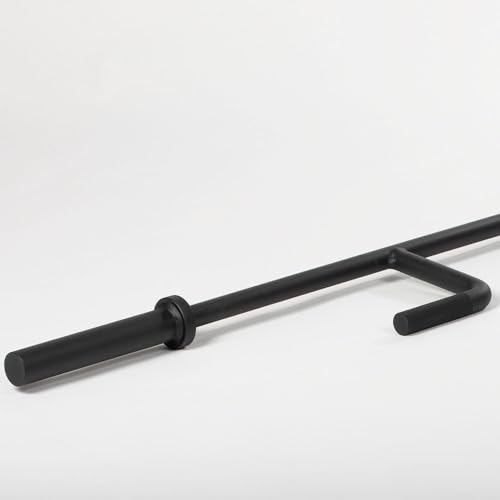 Titan Fitness Seal Row Bar v2, 28MM Medium Diamond Knurling Olympic Bar, Rated 700 LB, Home Gym Strength Training Bar Seal Row or Bench Pull Movements