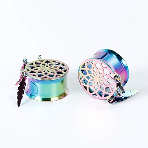 TBOSEN 2PCS Tunnels and Plugs For Ears Stainless Steel Stretcher Multiple Expander Tunnels Gauges 0g-1'' in 8mm-25mm