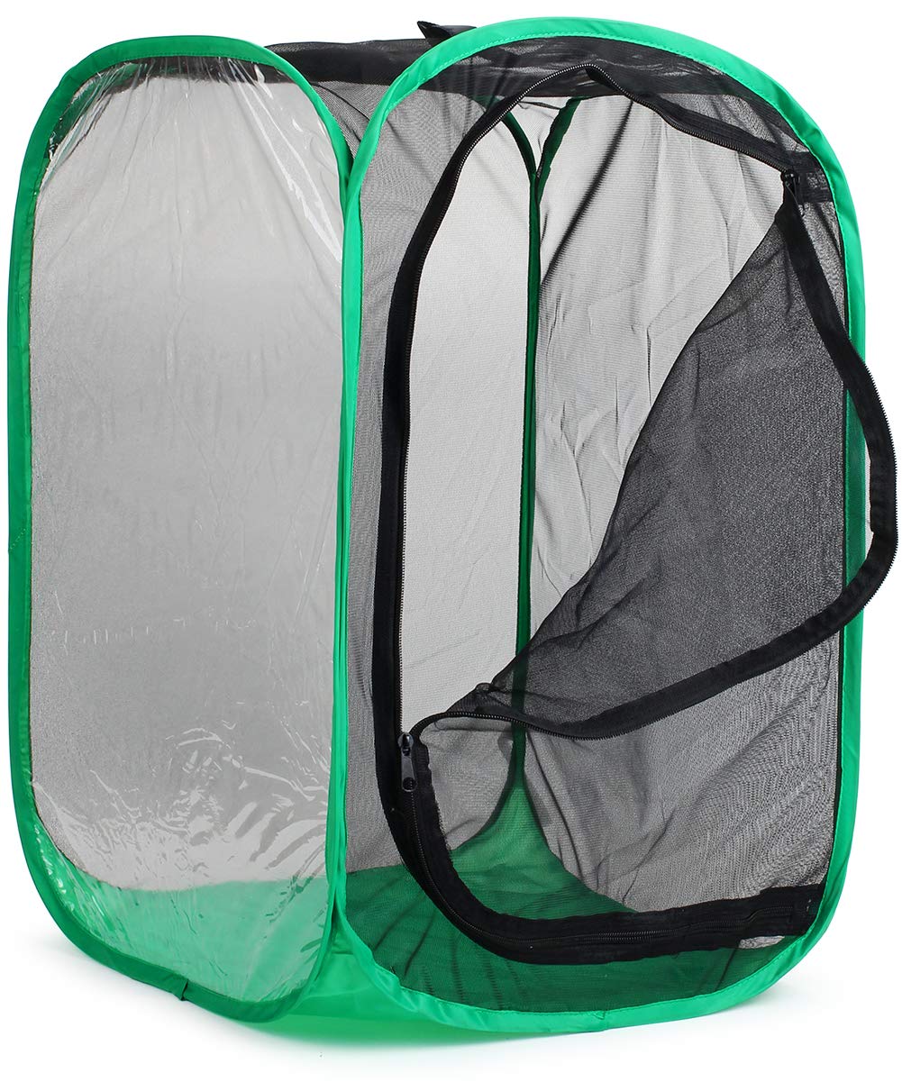 RESTCLOUD 36" Large Monarch Butterfly Habitat, Giant Collapsible Insect Mesh Cage Terrarium Pop-up 24 x 24 x 36 Inches