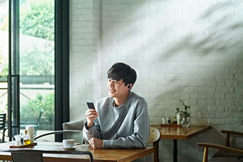 Sony NW-A306 Walkman 32GB Hi-Res Portable Digital Music Player with Android, up to 36 Hour Battery, Wi-Fi & Bluetooth and USB Type-C β Black NW-A306/B, Black