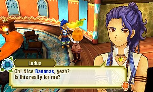 Story of Seasons: Trio of Towns - Nintendo 3DS