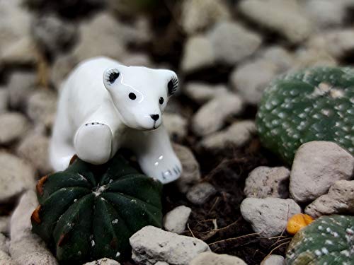 SSJSHOP Polar Bear Micro Tiny Dollhouse Figurines Ceramic Hand Painted Animals Collectible Small Gift Home Garden Decor (Polar)