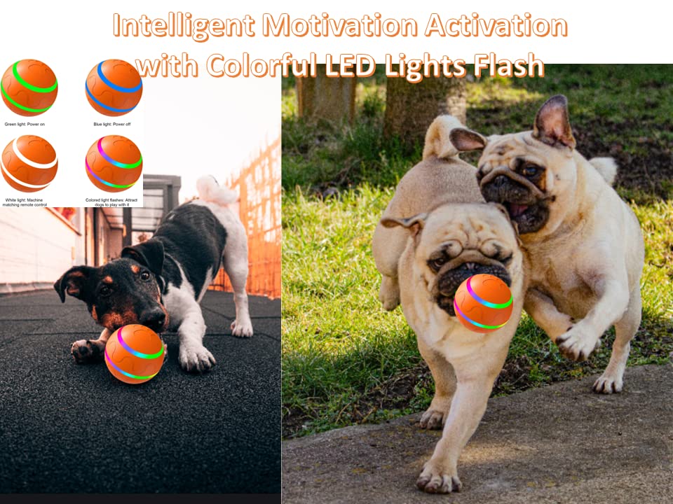 SCOLEA PawDepot Smart Interactive Dog Cat Toy Balls with Remote Control (Orange)