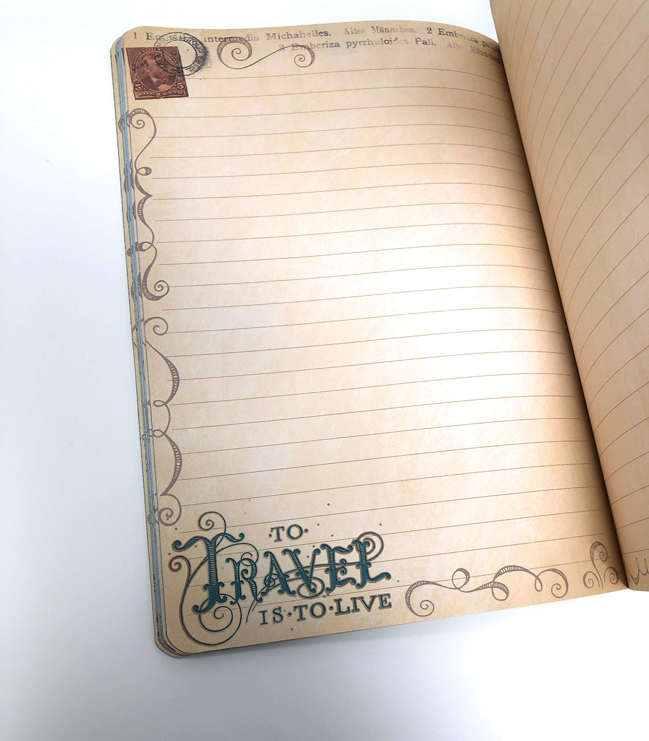 travel journal