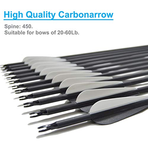 VNAKER Archery 30Inch Carbon Arrow Set with Arrow Quiver for Compound & Recurve Bow, 12 Pcs Arrow and 1Pcs Quiver (Black)