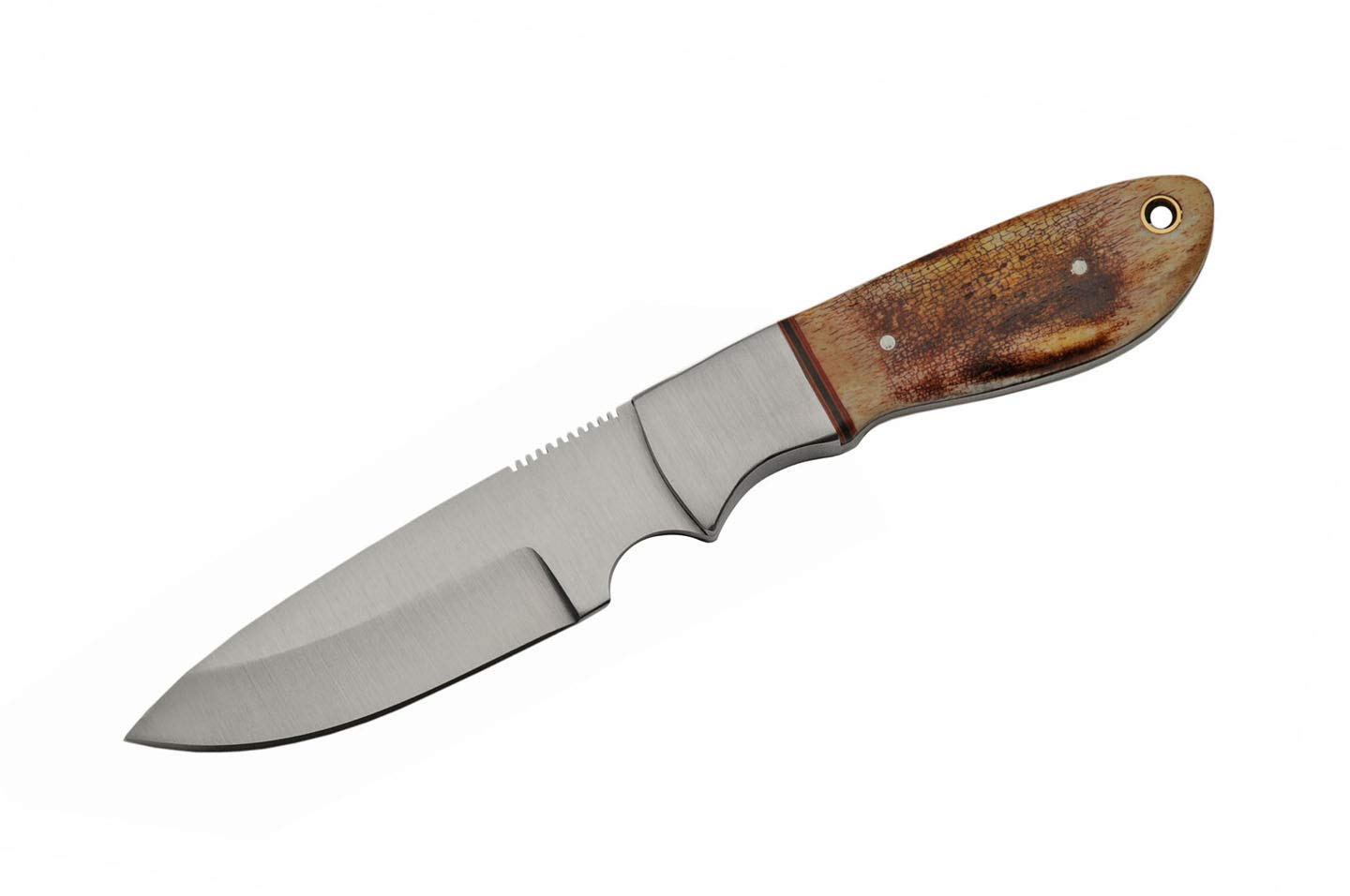 SZCO Supplies Colored Bone Handle Hunting Knife