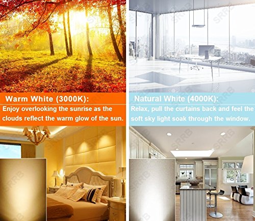 SRRB Direct 2.5W LED Replacement Landscape Pathway Light Bulb 12V AC/DC Wedge Base T5 T10 for Malibu Paradise Moonrays and More (4 Pack, Warm White)