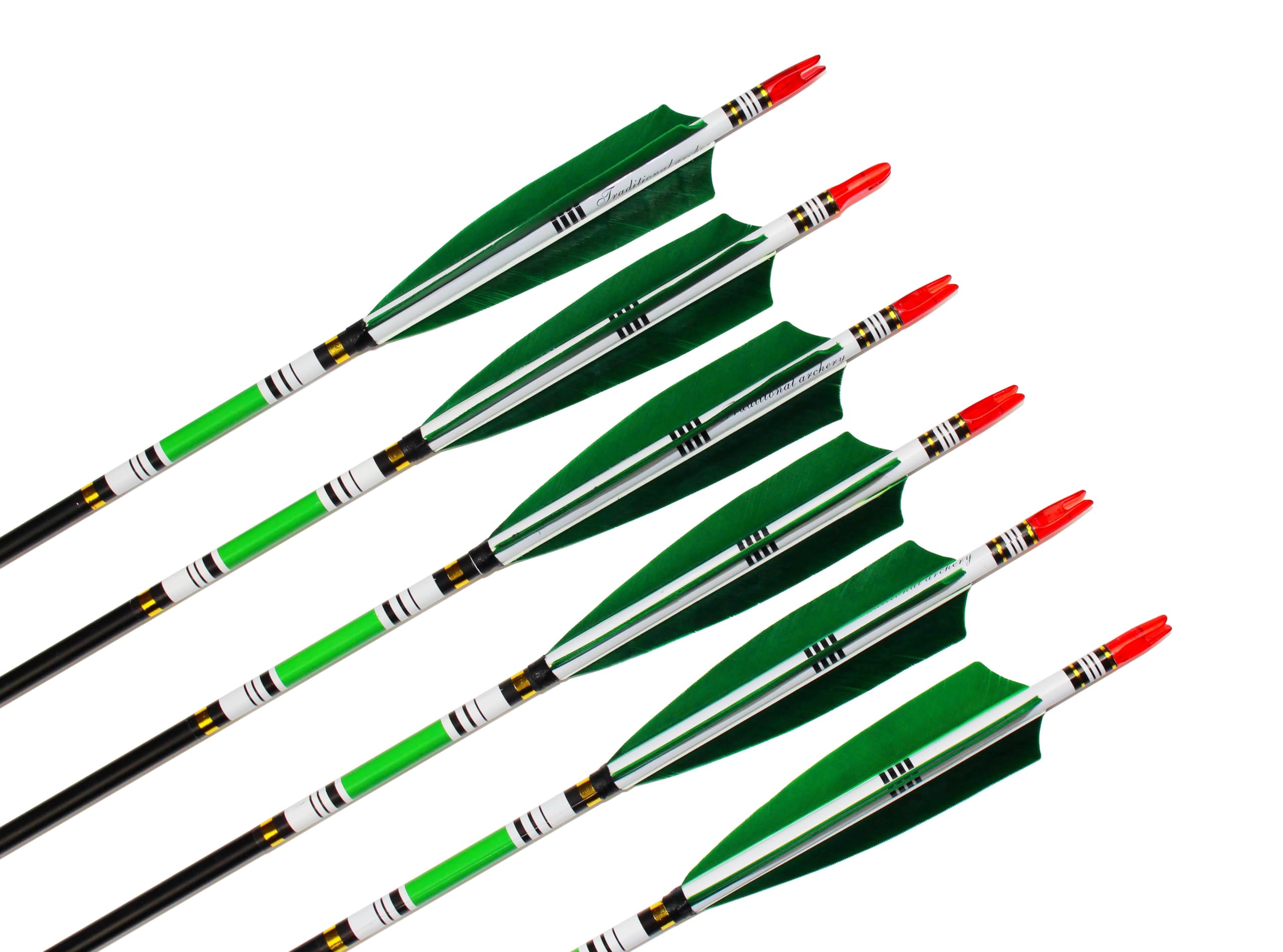 TTFLY FLETCHING 31 inch Carbon Arrows Green Turkey Feather Targeting Arrows Archery with Screw-in Field Tips Hunting&Practice(12 Pack)