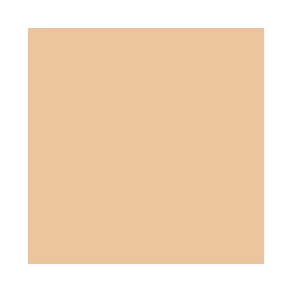 Smashbox Photo Filter #, Shade 5, velvety soft powder foundation, 0.34 Ounce