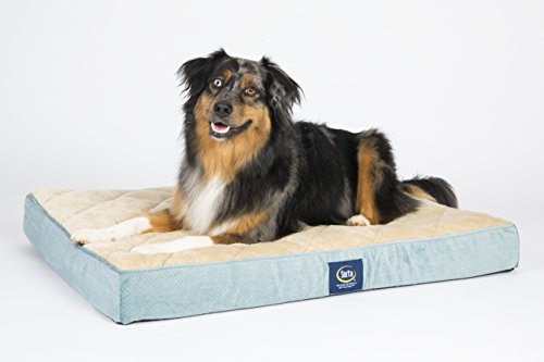 Serta Ortho Quilted Pillowtop Pet Bed, Large, Blue