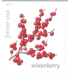 Winter Berries Book of 20 First Class US Postage Stamps Wedding Celebrate Engagement (20 Stamps)