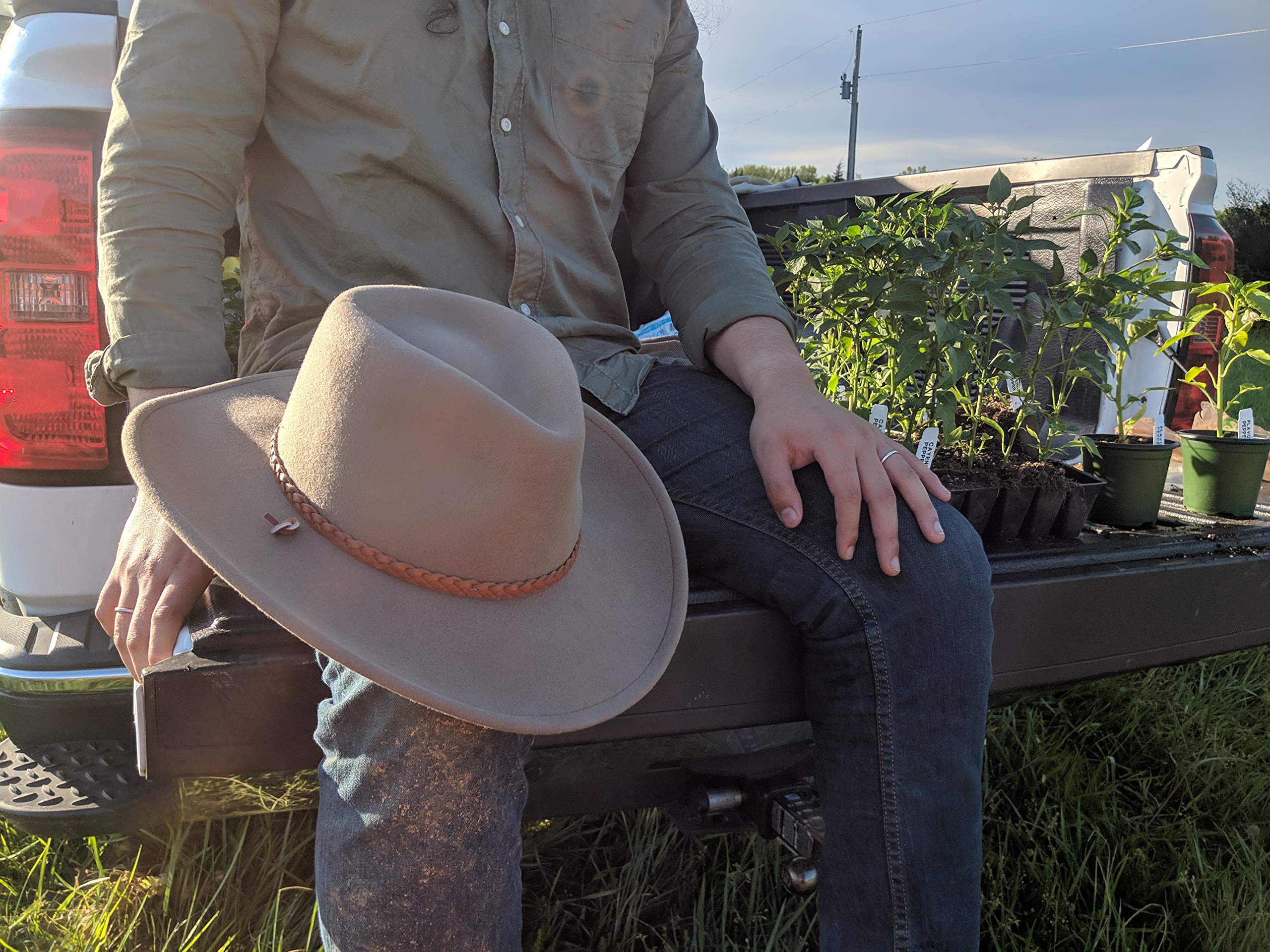 STETSON Sagebrush, Color: Mushroo, Size: M (OWSGBH-8134MUM0)