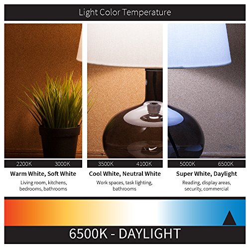 Sunlite PLD18/E/SP65K 18-Watt Compact Fluorescent Plug-in 4-Pin Light Bulb, 6500K Color