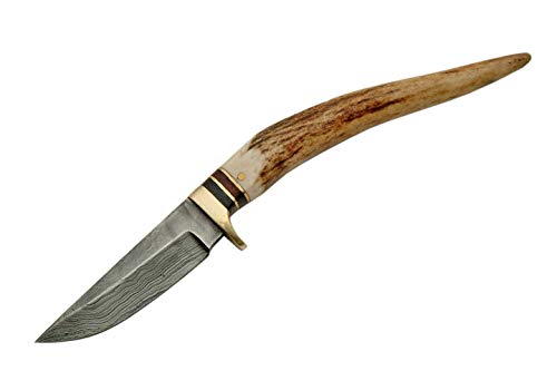 SZCO Supplies Stag Spike Hunting Knife