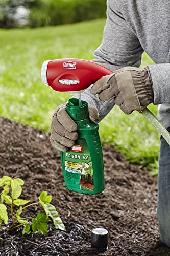 The Scotts Ortho Max Poison Ivy Tough Brush Killer, 32-Ounce