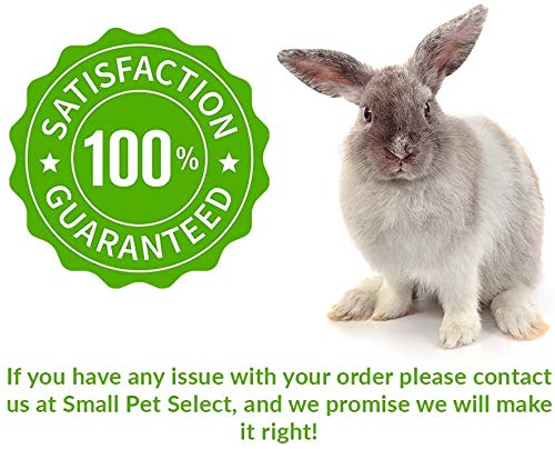 Small Pet Select - Hay Cubes - Timothy/Alfalfa Mix - Delivered Fresh, (1 lb), Green, 1.00 Pound (Pack of 1)