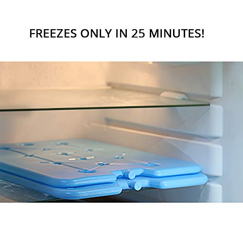 Tapleap XL Large Ice Packs for Coolers - Slim Freezer Packs for Camping- Long Lasting Reusable Dry Ice Blocks, 13 x 10 x 0.5 inch, Quick Freeze - Set of 4