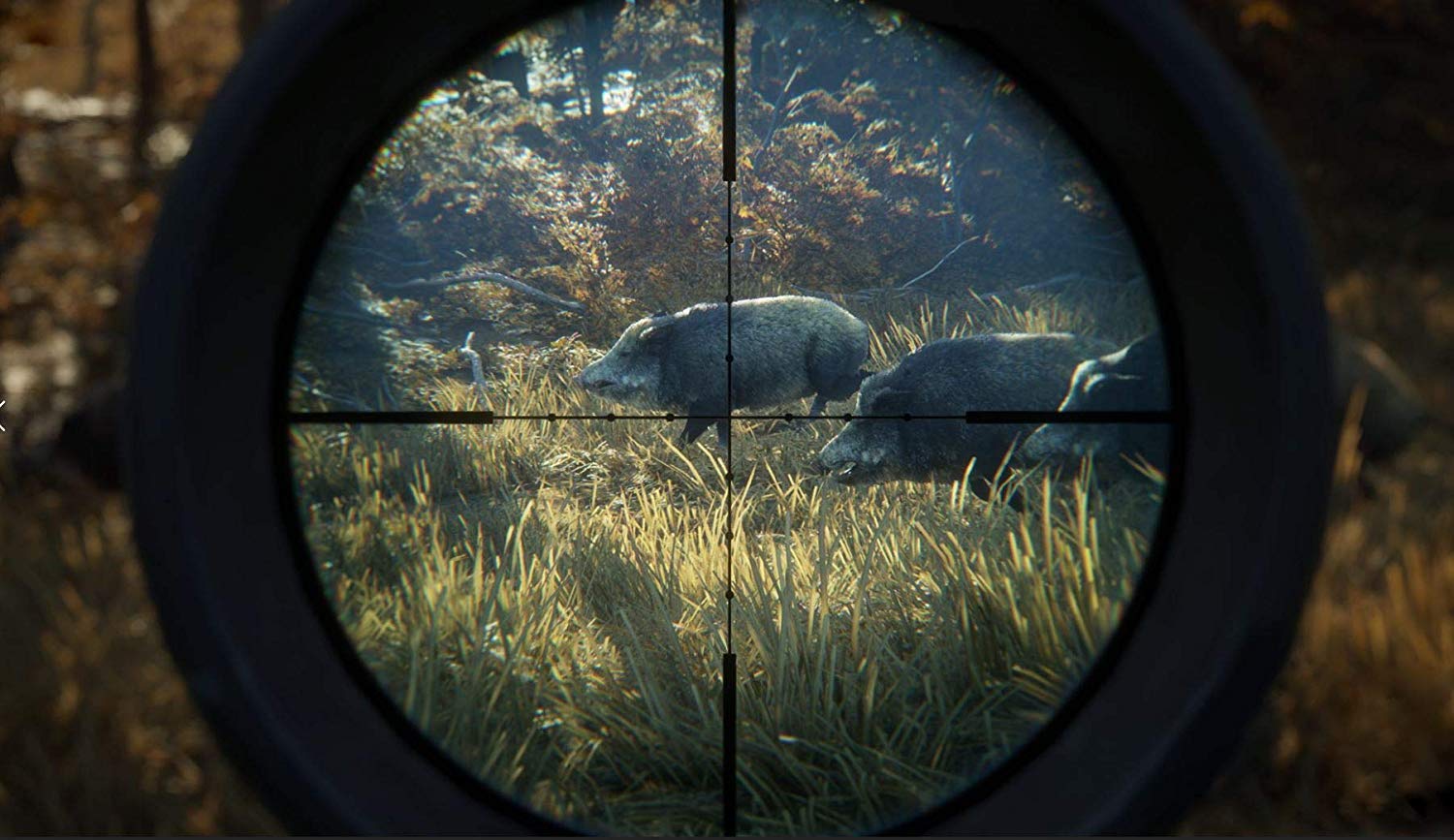 theHunter Call of the Wild - 2019 Edition (Xbox One) (UK IMPORT)
